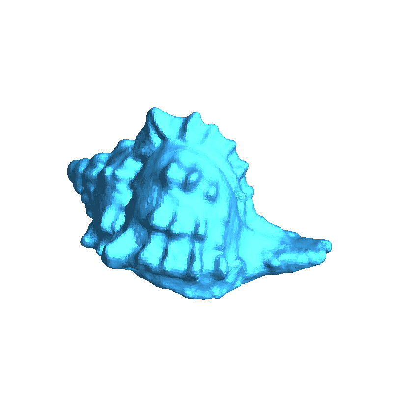 Free Others STL Download - 3D Scanned Seashell 2by GillWinkle