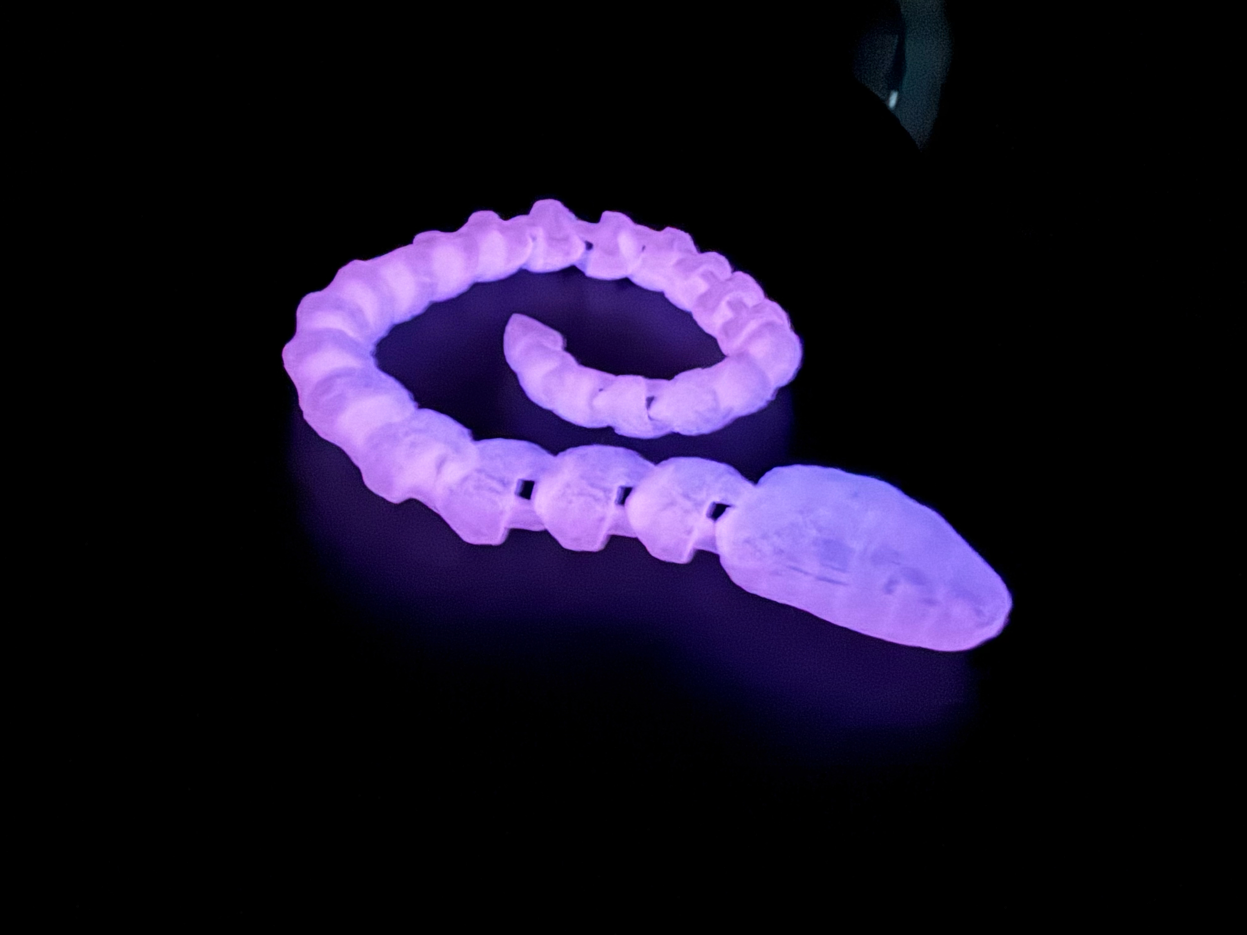 Check out this glow-in-the-dark articulated snake printed on my ...