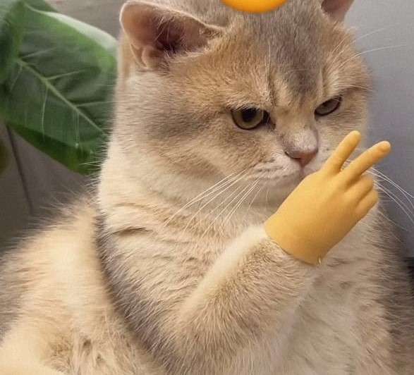 Art & Design STL Download - Cat Funny Handsby Printly Shop