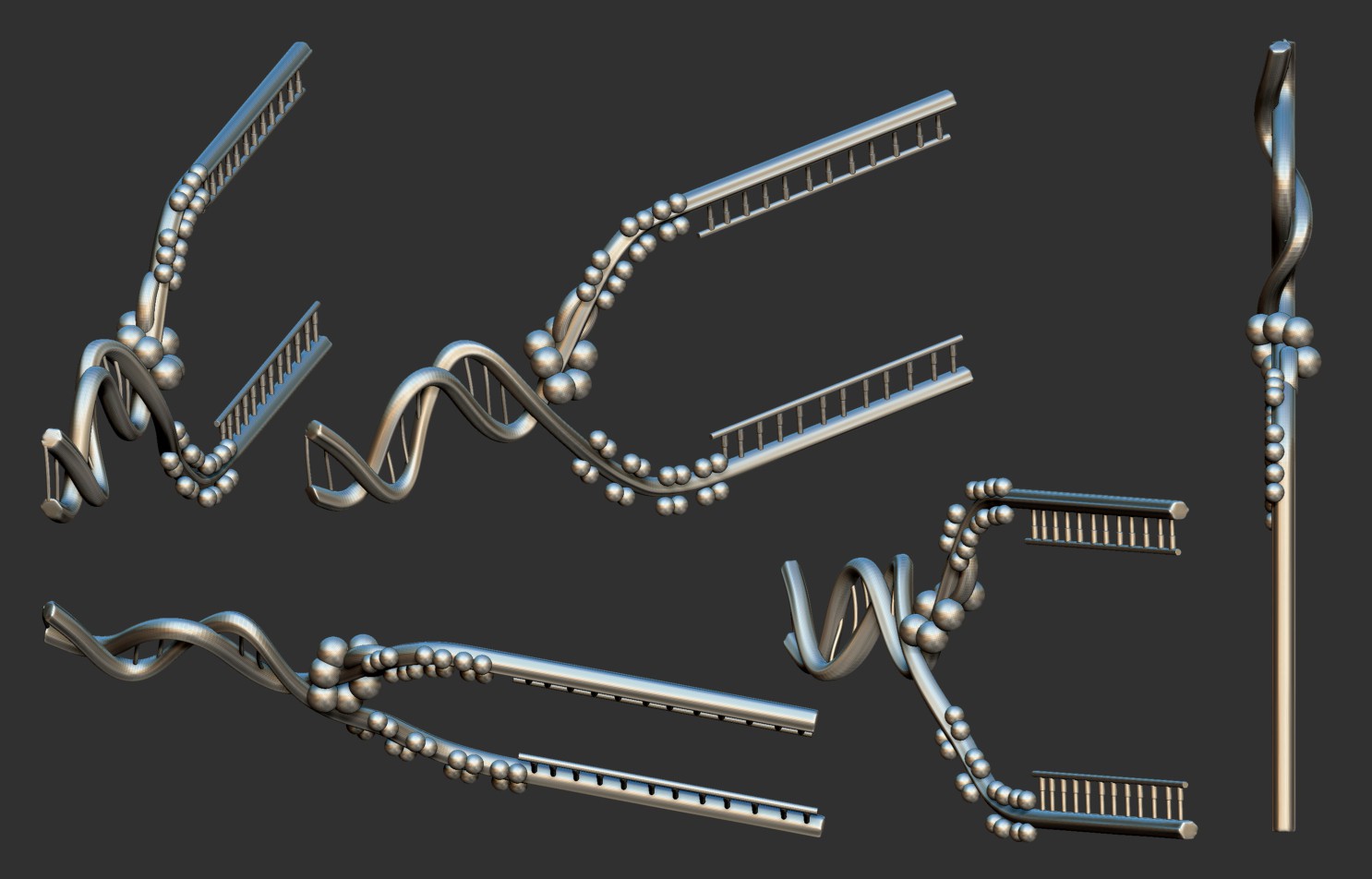 Other STL Download - DNA REPLICATION by Akinlua Precious