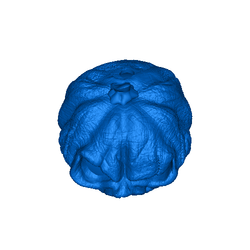 3D Printer Files | 3MF File | Halloween death whistle | Creality Cloud