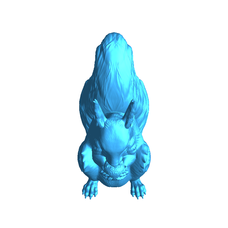 squirrel beautiful | Creality Cloud