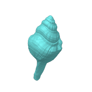 3D Printer Files | 3MF File | Seashell Decor | Creality Cloud