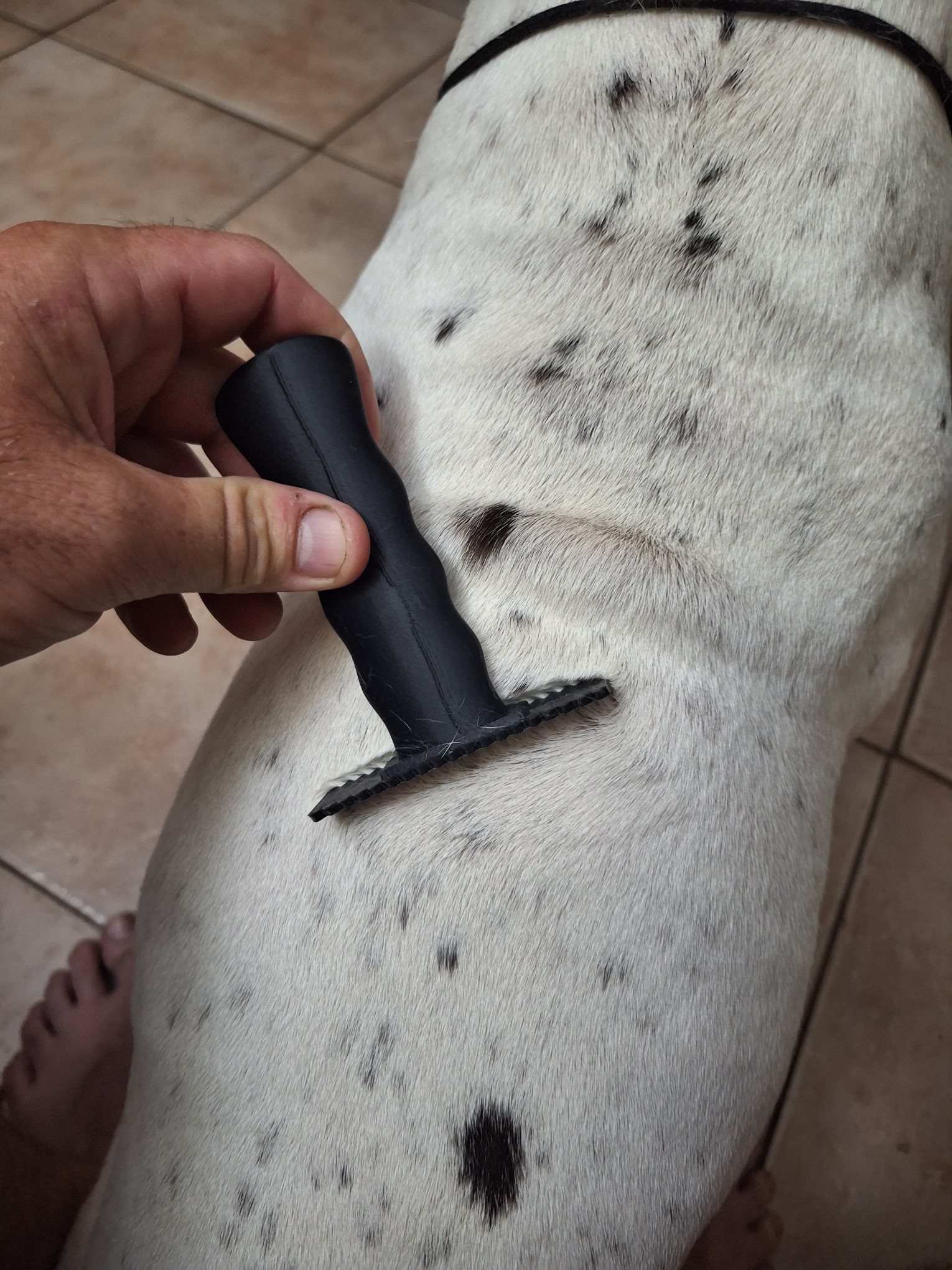 thank you! scaled up 400%, Doggo loves it! just over an hour to print ...