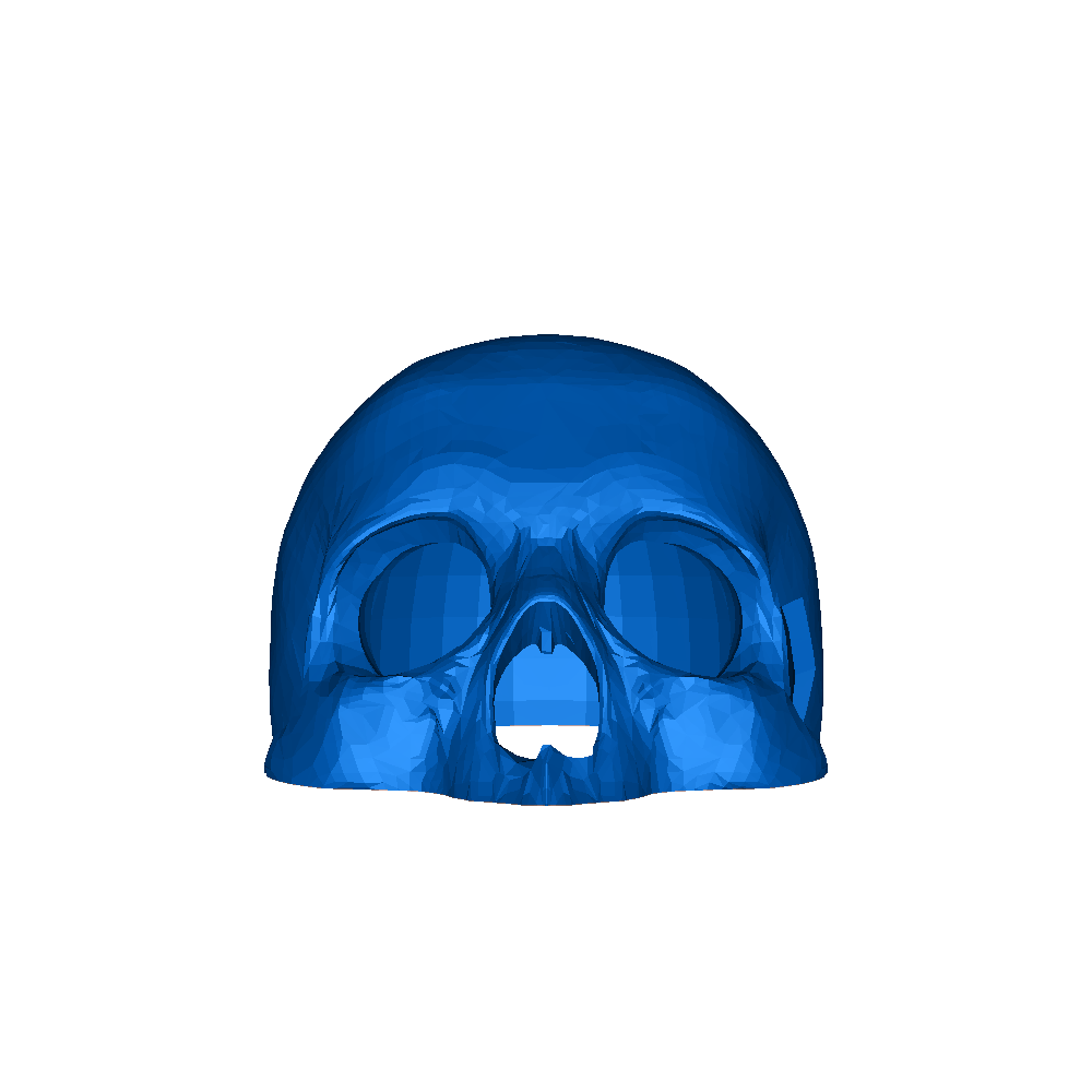 Free Characters & Creatures STL Download - skull tarantula hideby P.Sutton