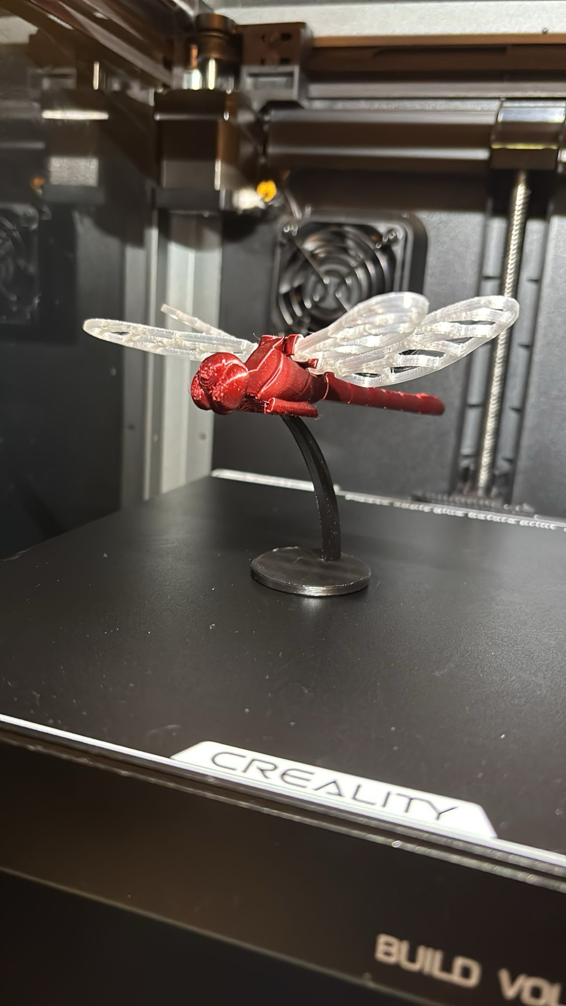 Dragon fly with translucent wings… | Creality Cloud