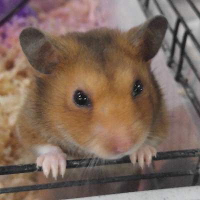 Duane B. | 3D Models