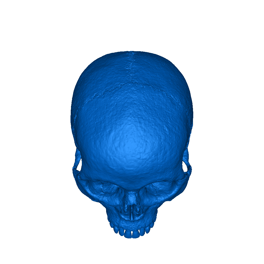 3D Printer Files | 3MF File | Skull | Creality Cloud
