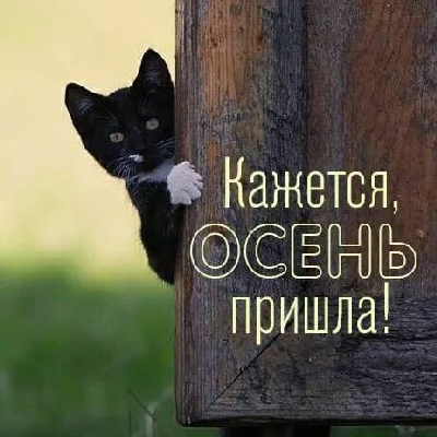 emilson's Profile | Creality Cloud