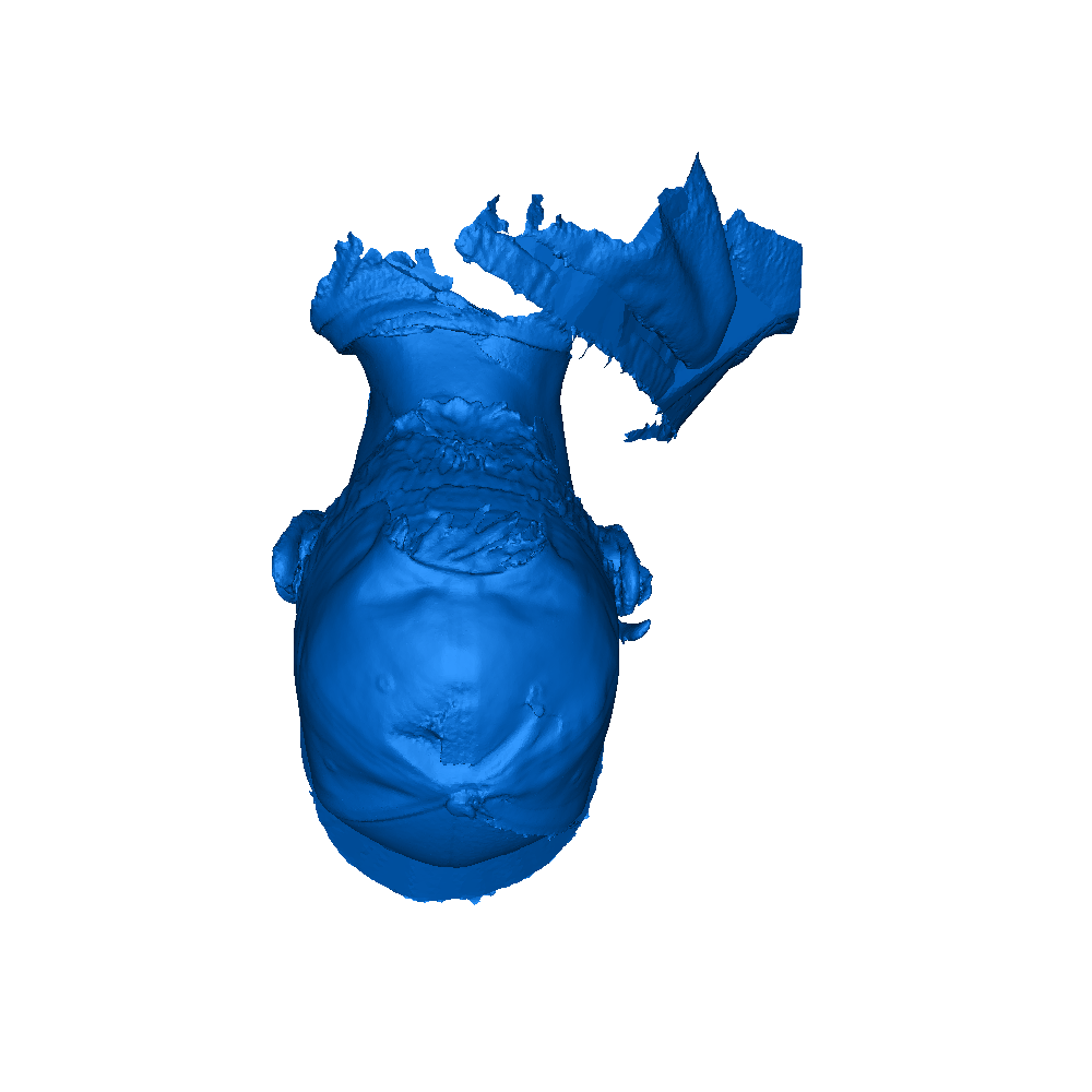 Free Other STL Download - my faceby Mathew Long