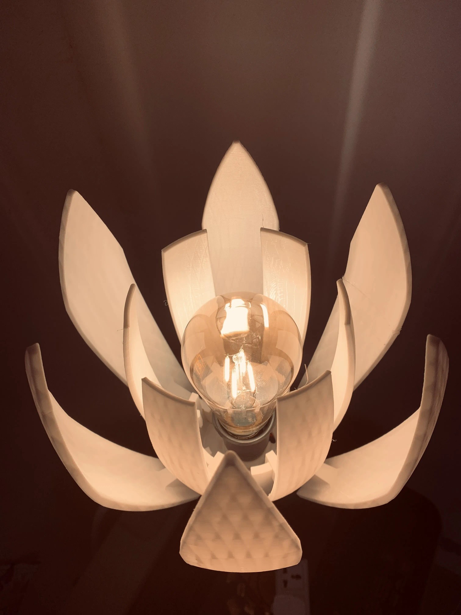 hello creality folks, Check out this 3d printed Flower Lamp . one of my ...