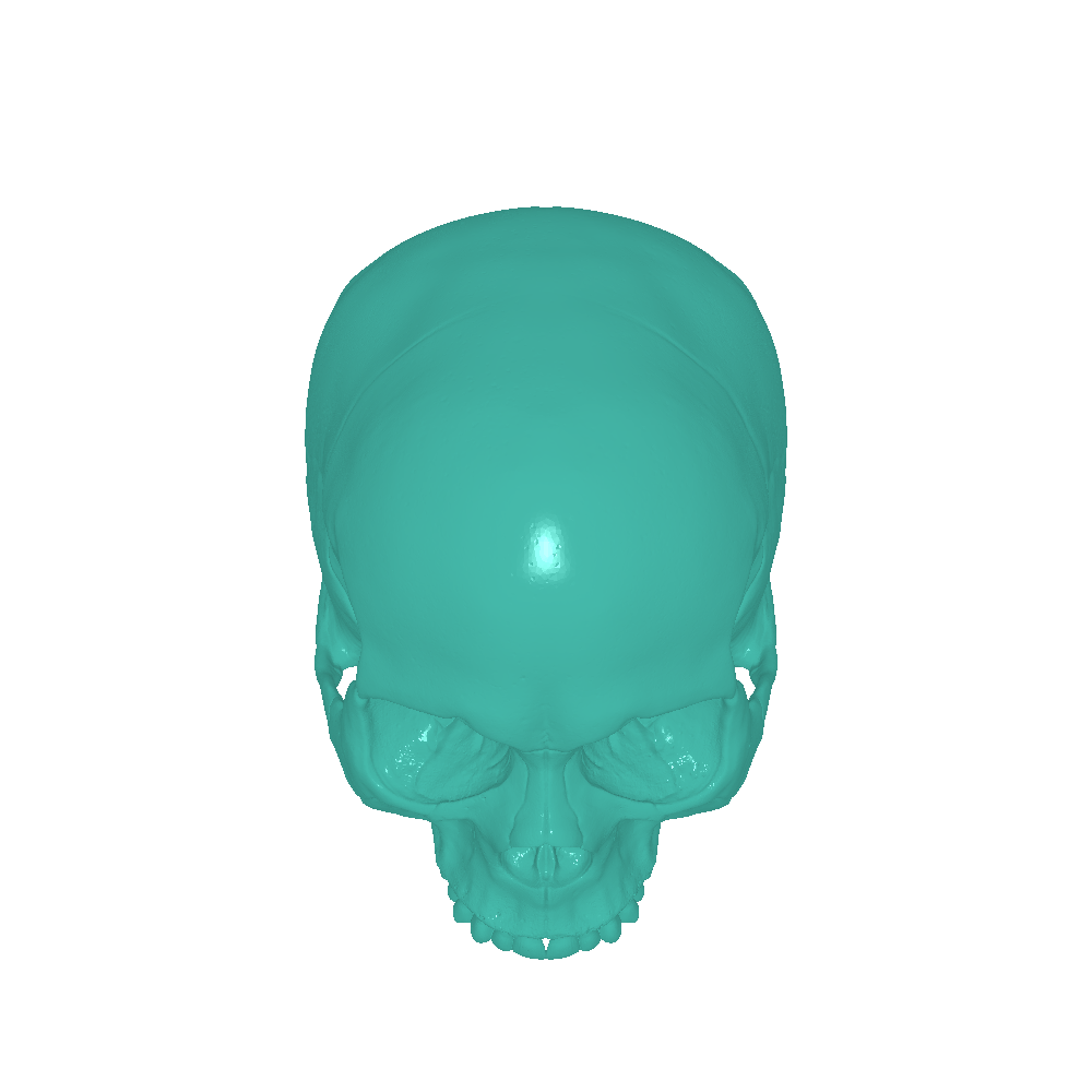 Free Other STL Download - skullby HiyashiAkira