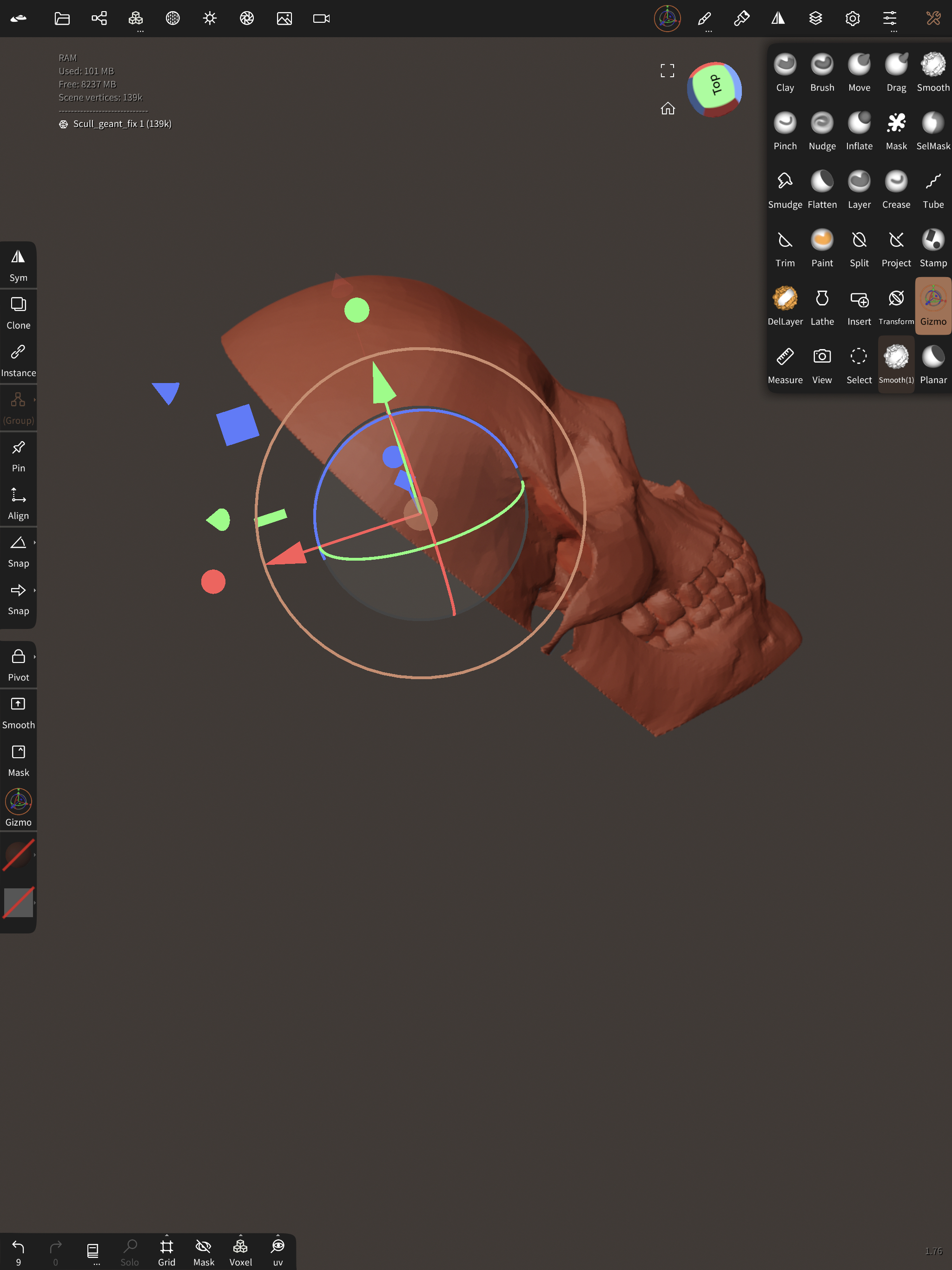 Flat skull | 3D models download | Creality Cloud