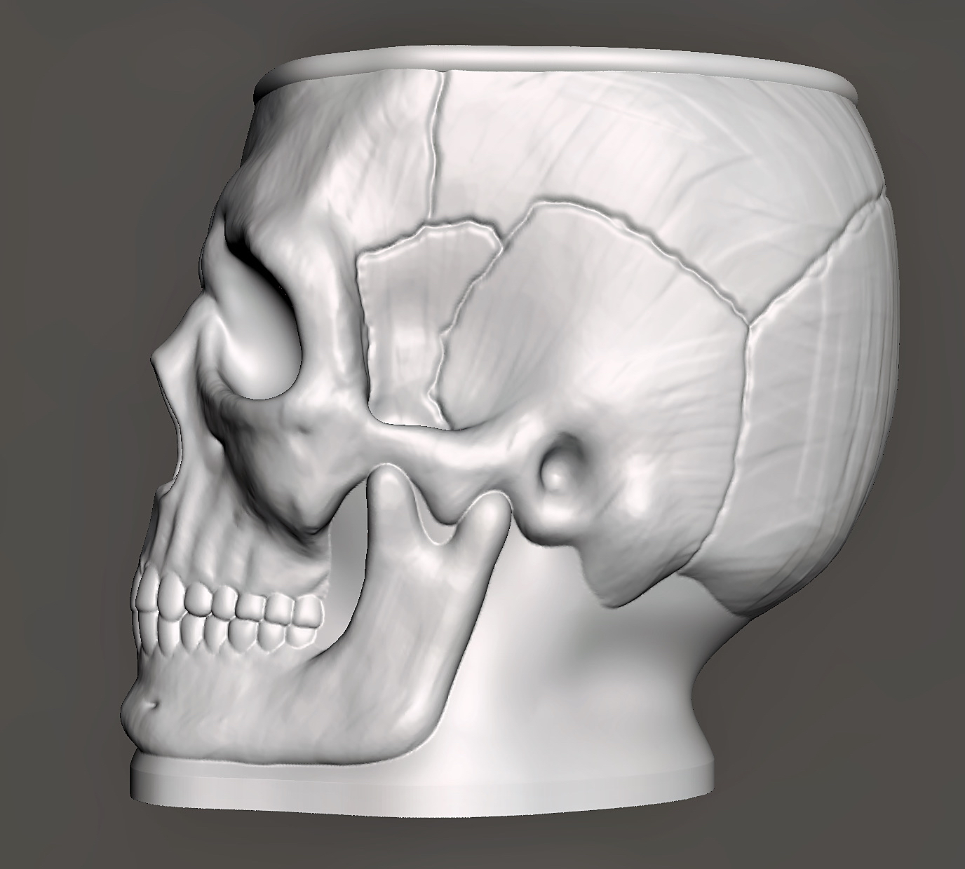 SCULL PLANTER -PRINT IN PLACE | 3D models download | Creality Cloud