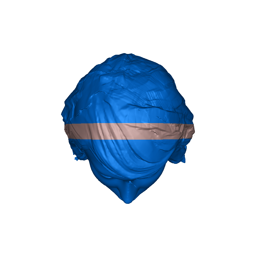 Digital Art STL Download - taylor swift head sculpt by Angussss Chan