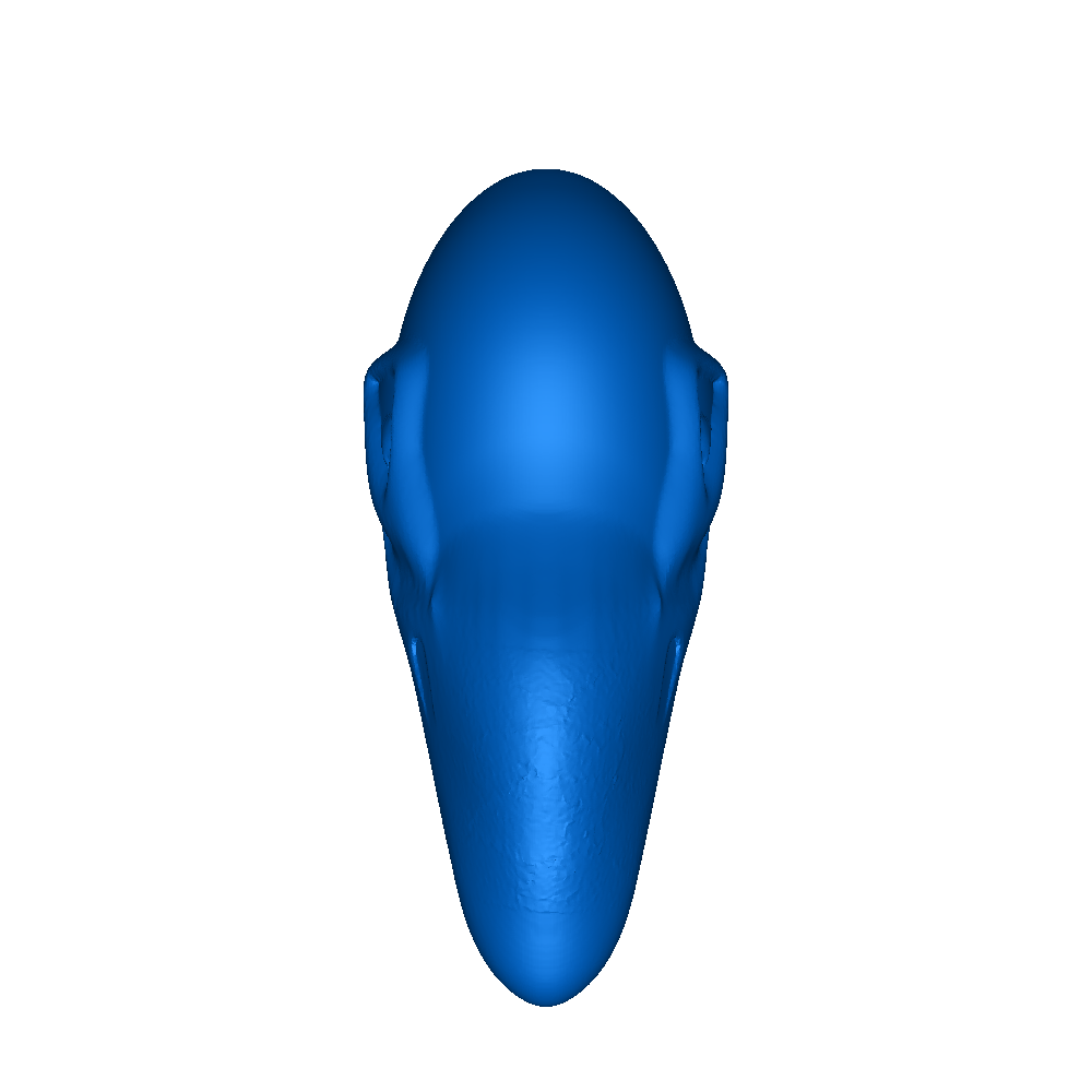 Characters & Creatures STL Download - Maleficent Crow Staffby Dwel_R_3D ...