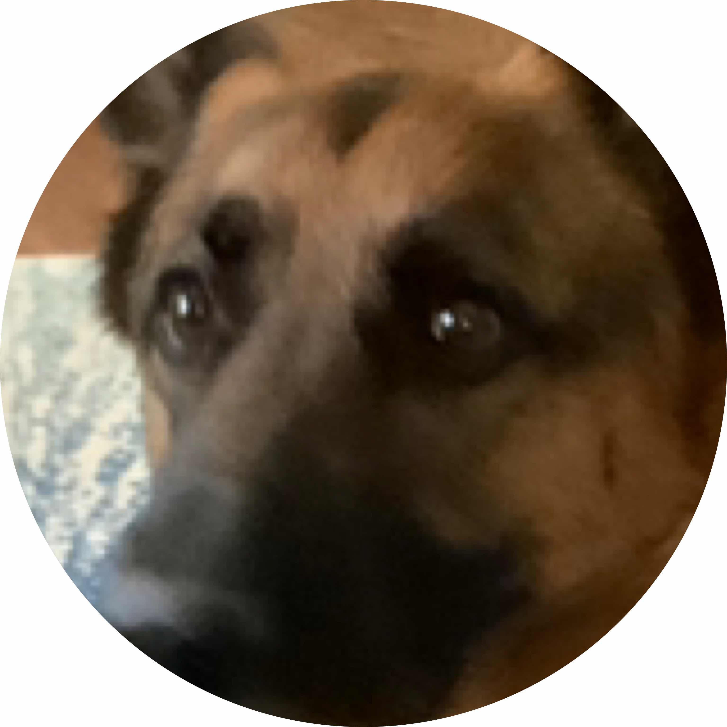 user2447300580's Profile | Creality Cloud