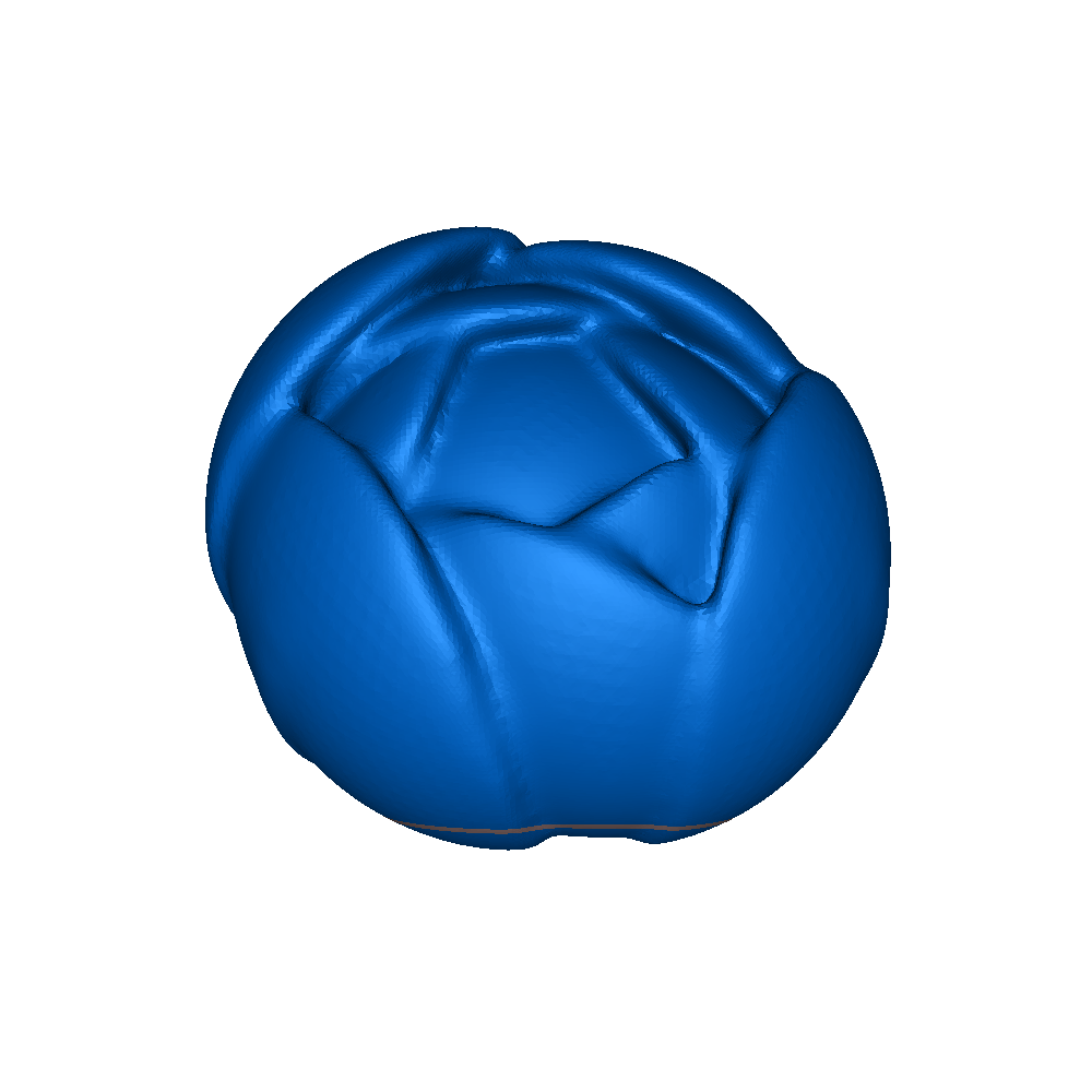 Free Other STL Download - Vegetables and Gardenby Gena Johnson