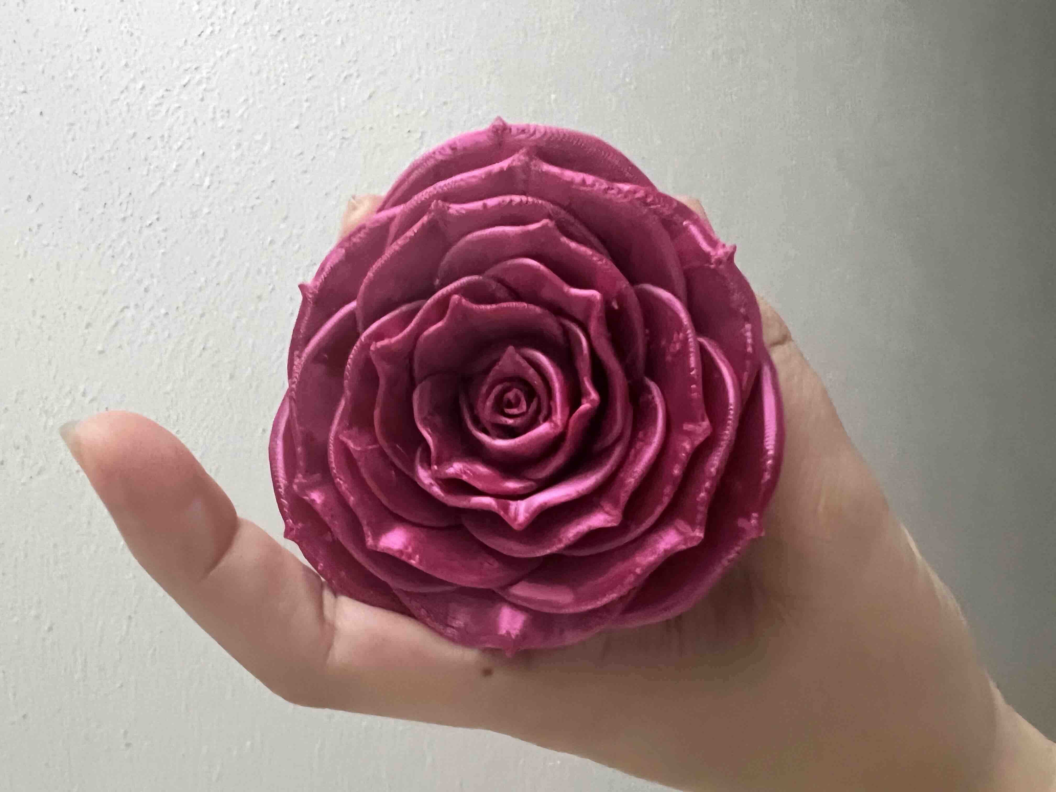 CR-10 Smart Rose 🌹 so beautiful! I love it ! So much I will make it ...