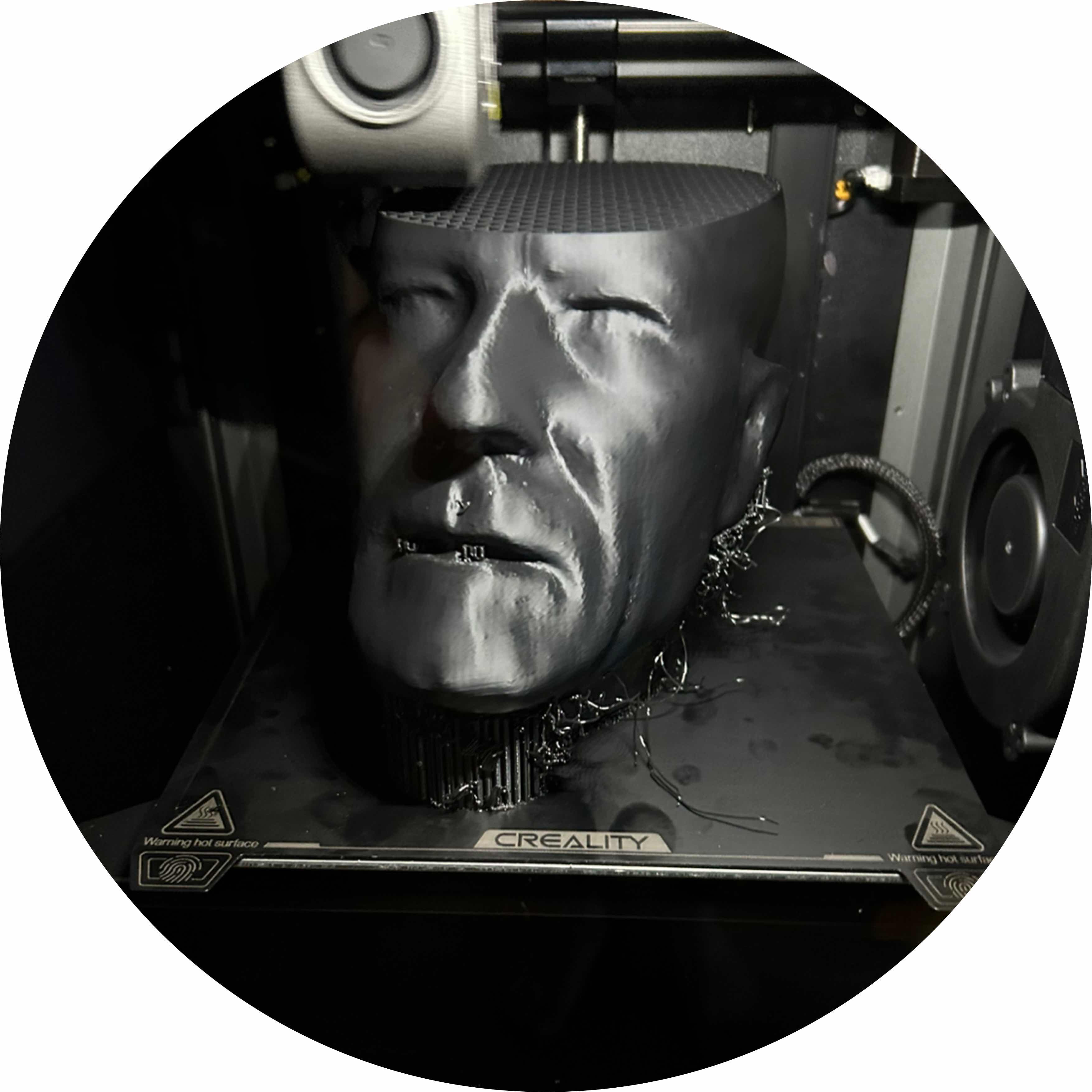 Cabbage | Profile | Creality Cloud