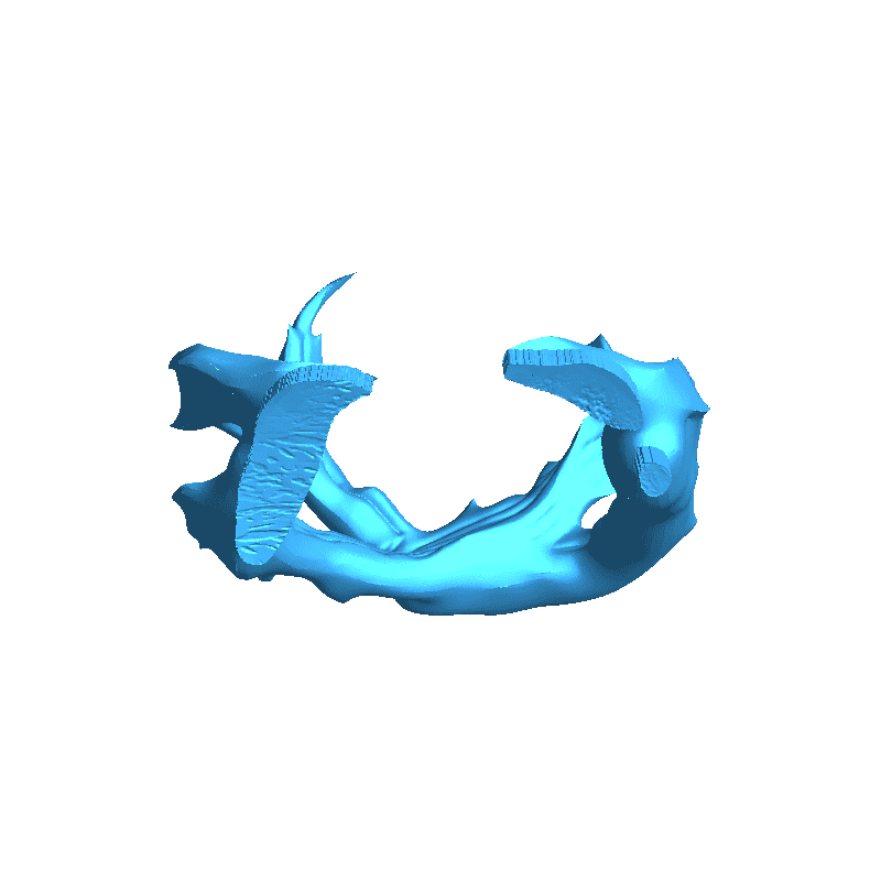 caulifla | 3D models download | Creality Cloud