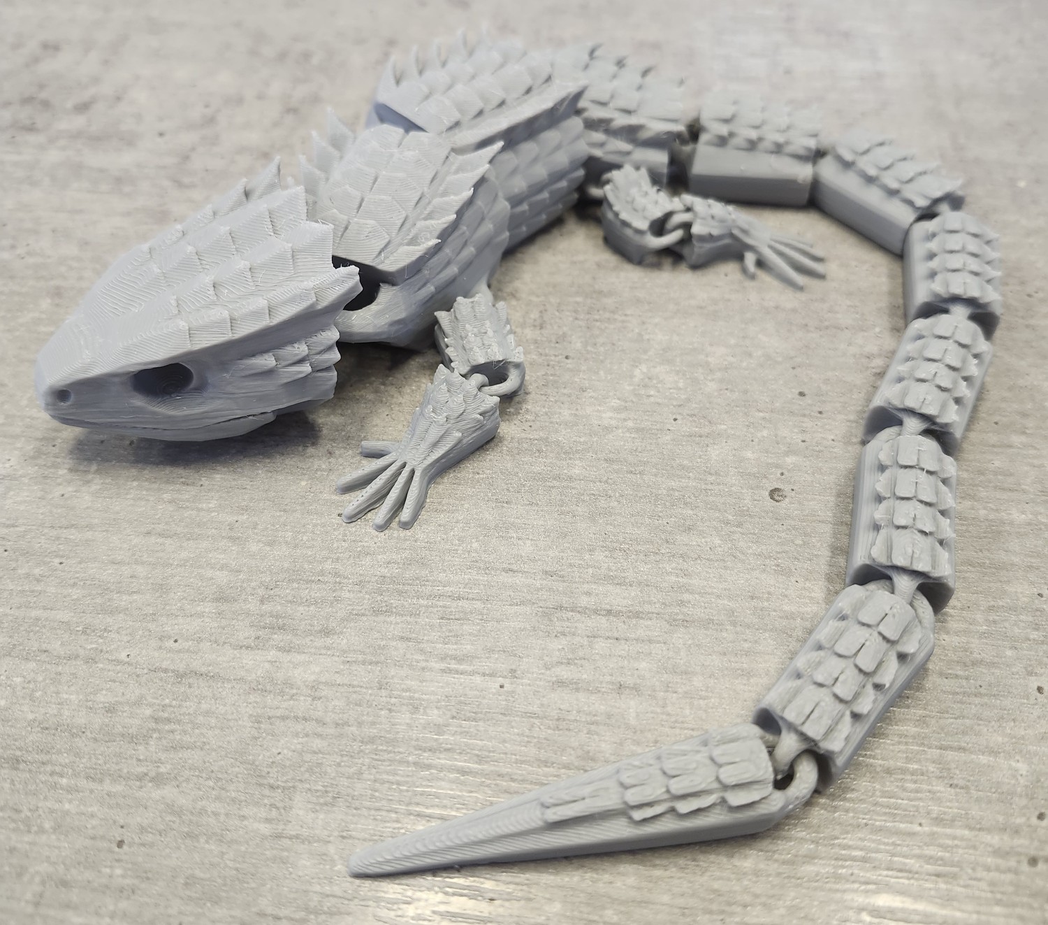 I got this pattern for my brother as he used to have lizards. I wanted ...