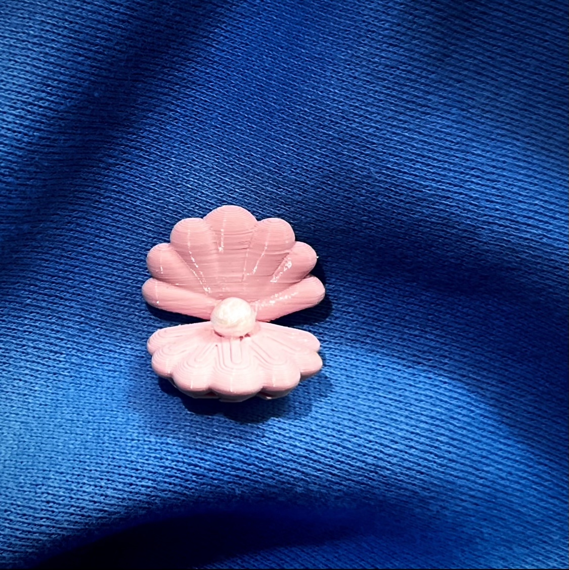 Bring the beauty of the ocean into your home with our 3D-printed shell ...