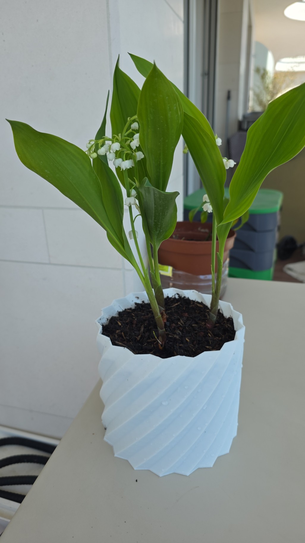 sympa très bon rendu | Creality Cloud