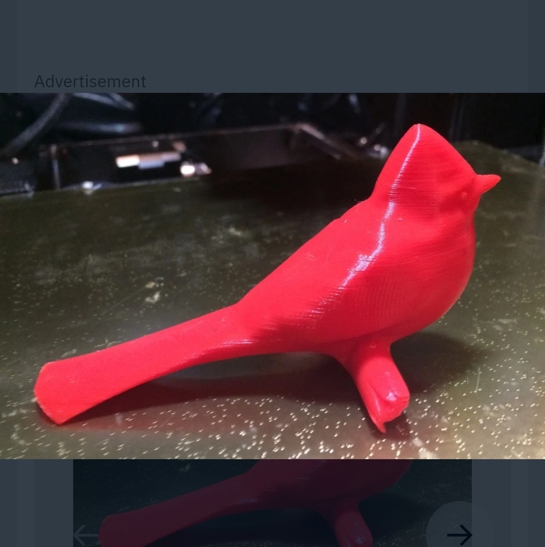 Free Other STL Download - careldinal on branchby Dexter Wolf