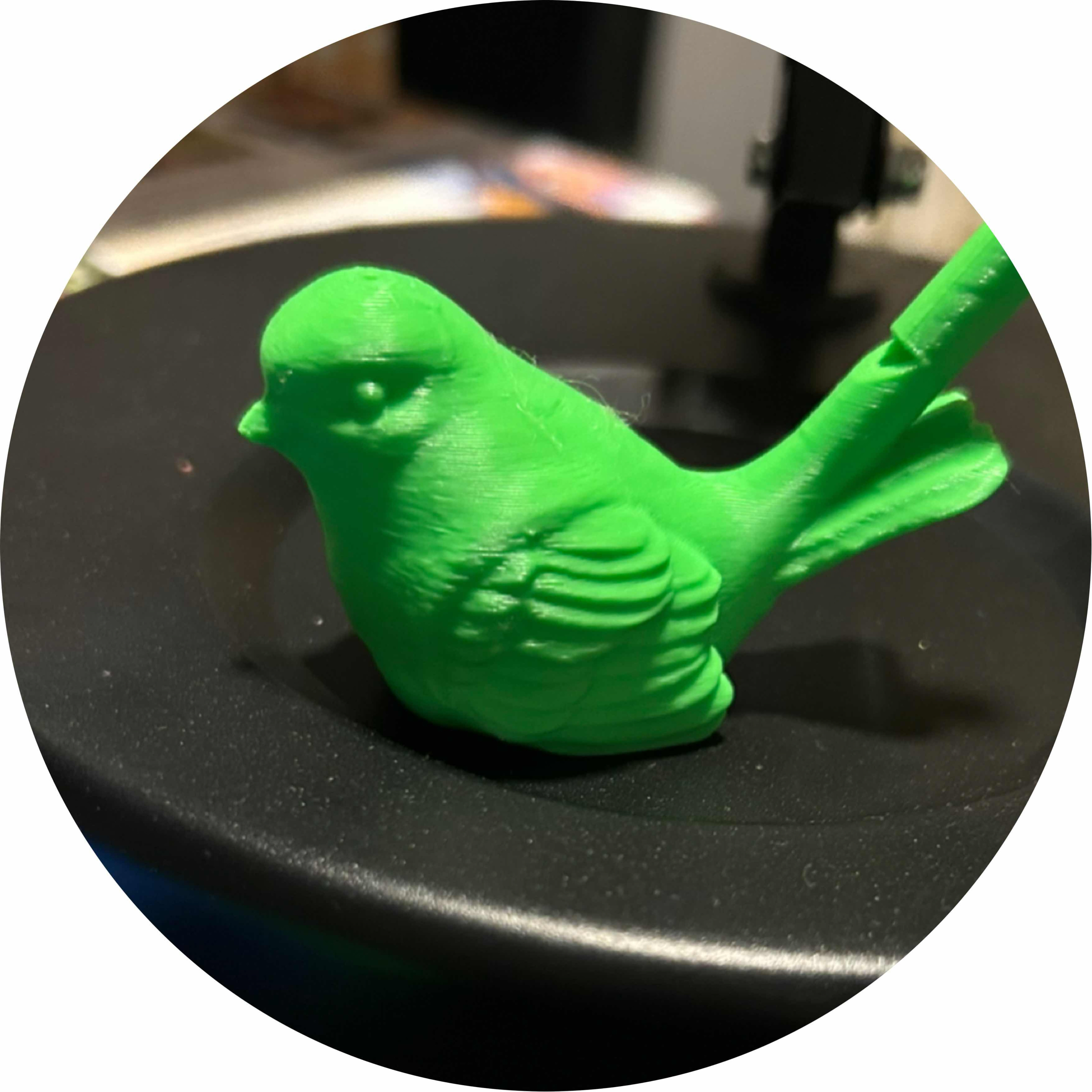 Kfray37 | Profile | Creality Cloud