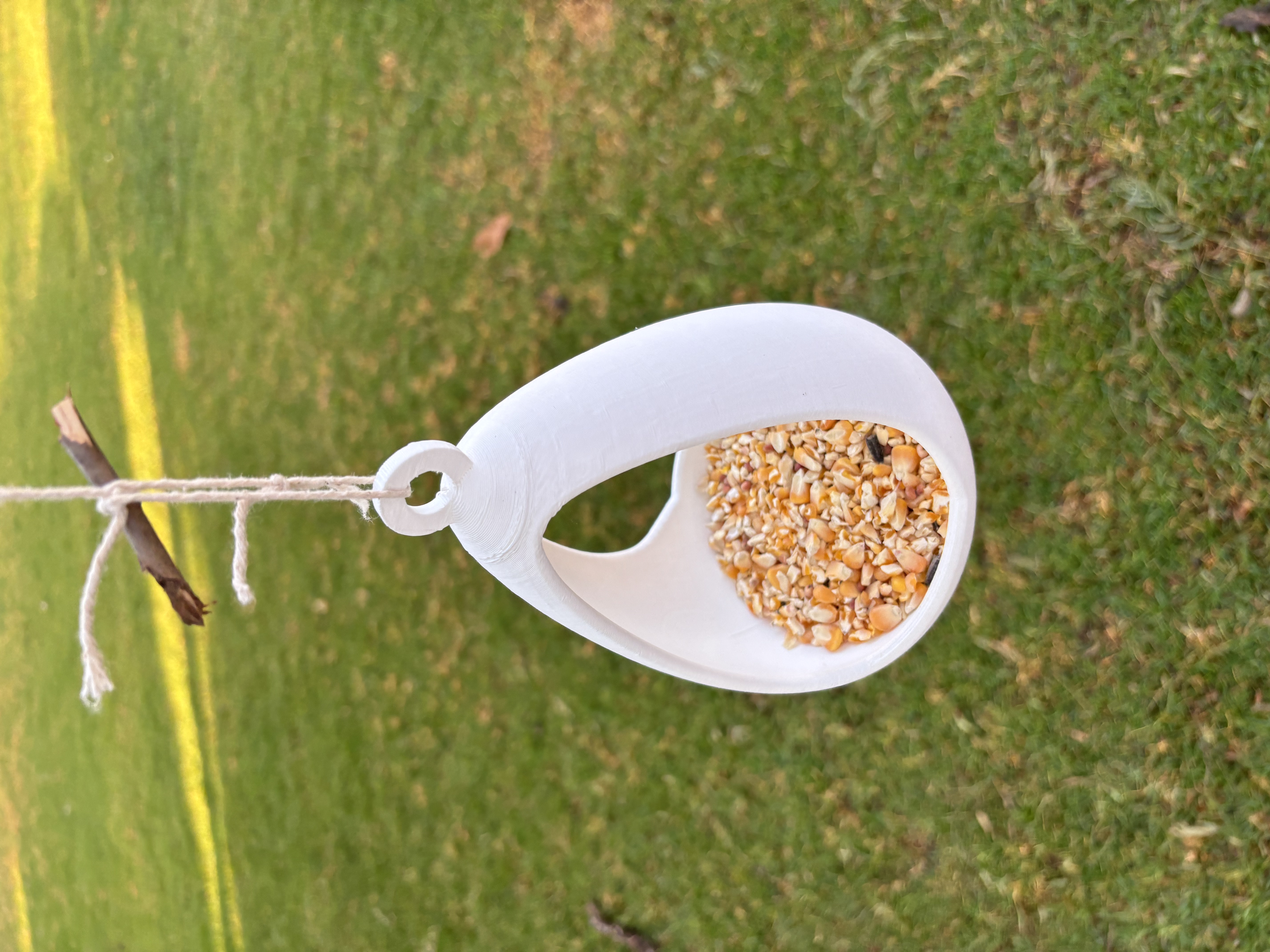 Simple little bird feeder with some chicken feed till I get bird seeds ...