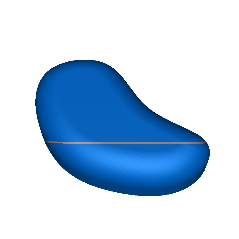 Free Other STL Download - Animal cellby Vincuk Konan