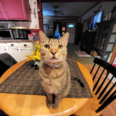 Jerry England | Profile | Creality Cloud