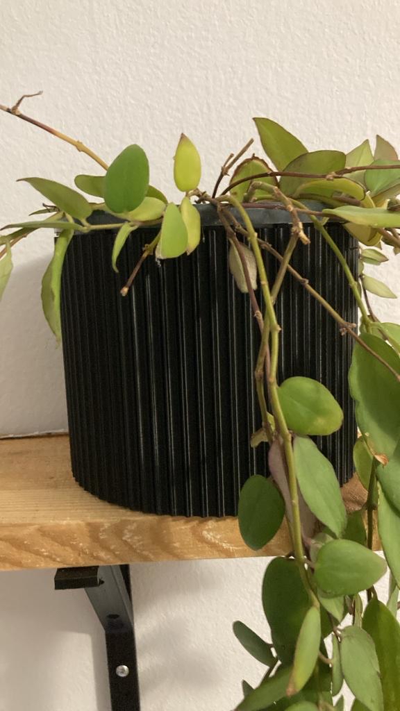 Flower pot 1 | 3D models download | Creality Cloud