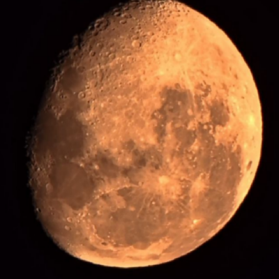 Halvorsons Halvorson | 3D Models