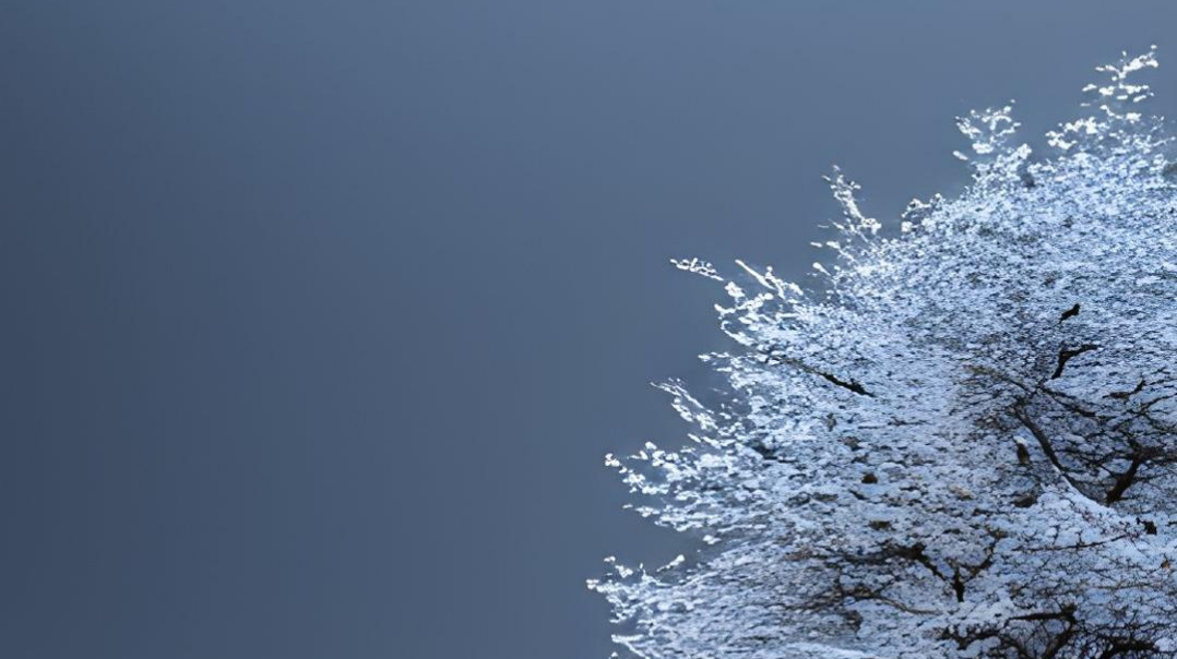 Adudjwixj kdbdk | Creality Cloud