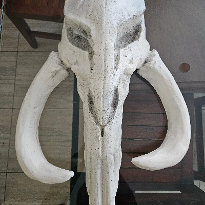 alebo Alexis Cabello's Profile | Creality Cloud