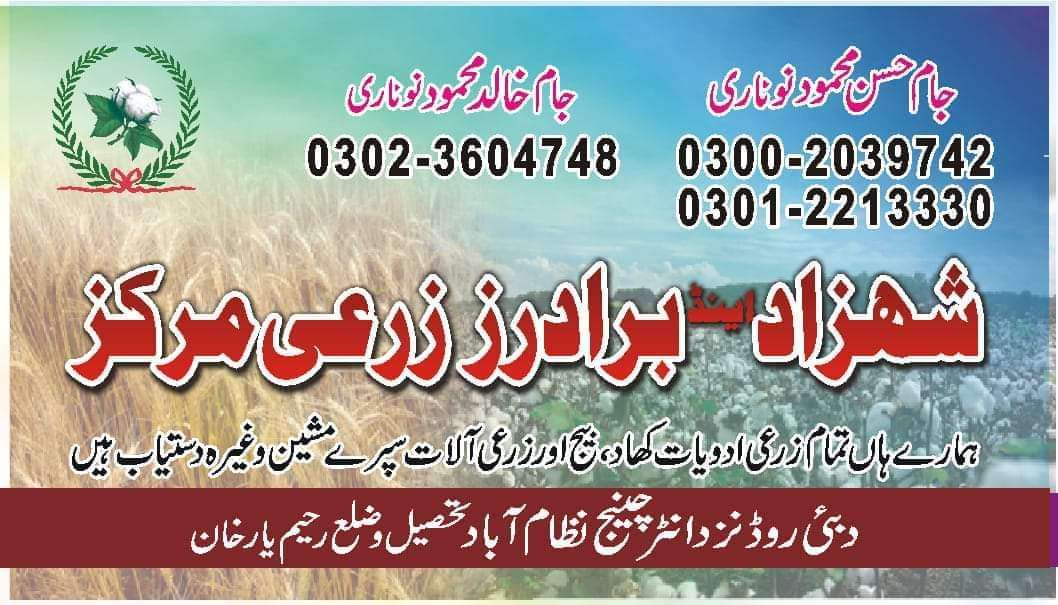 Grafix Designer | Creality Cloud