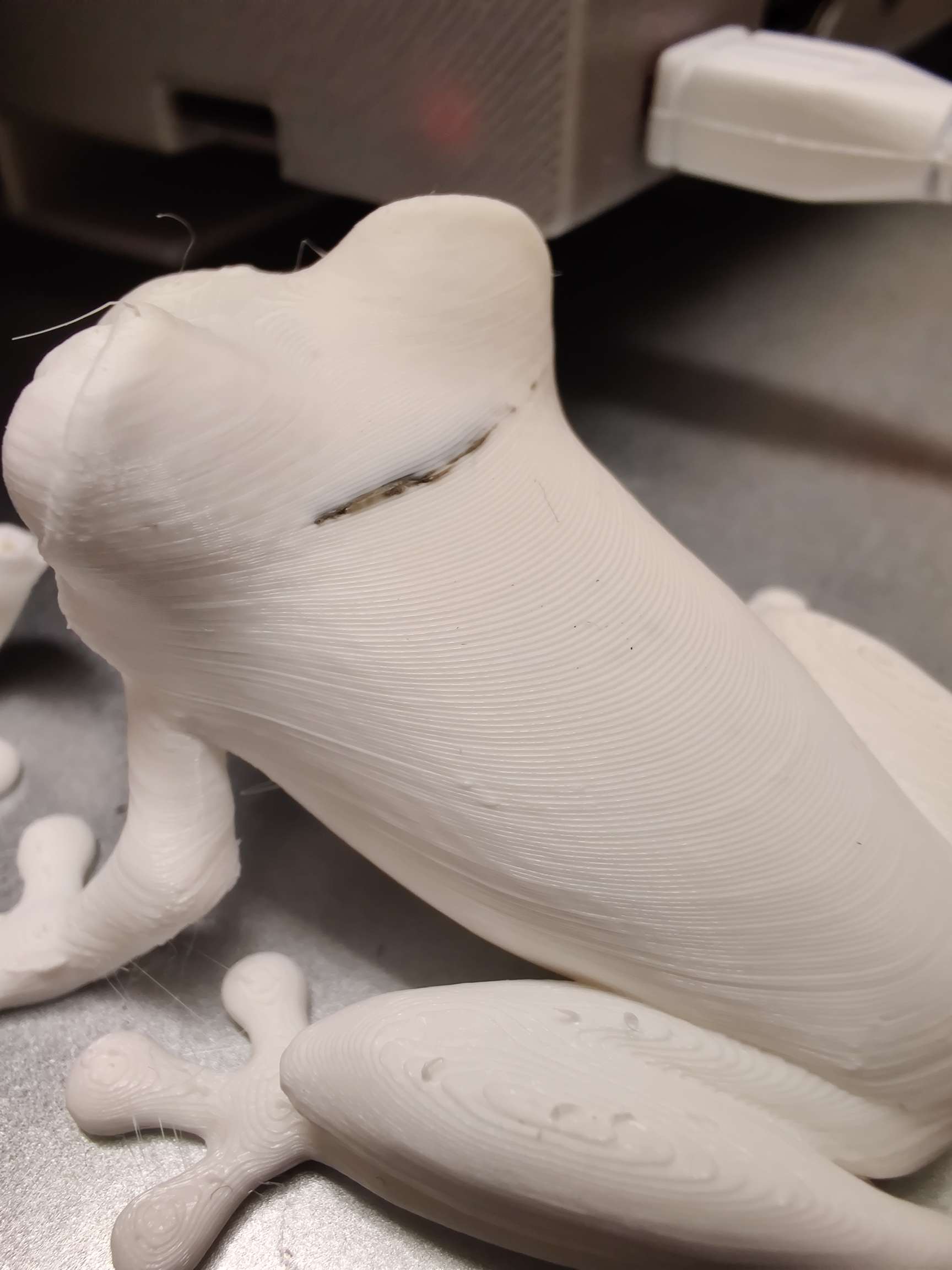 Frog with broken leg 😂 | Creality Cloud