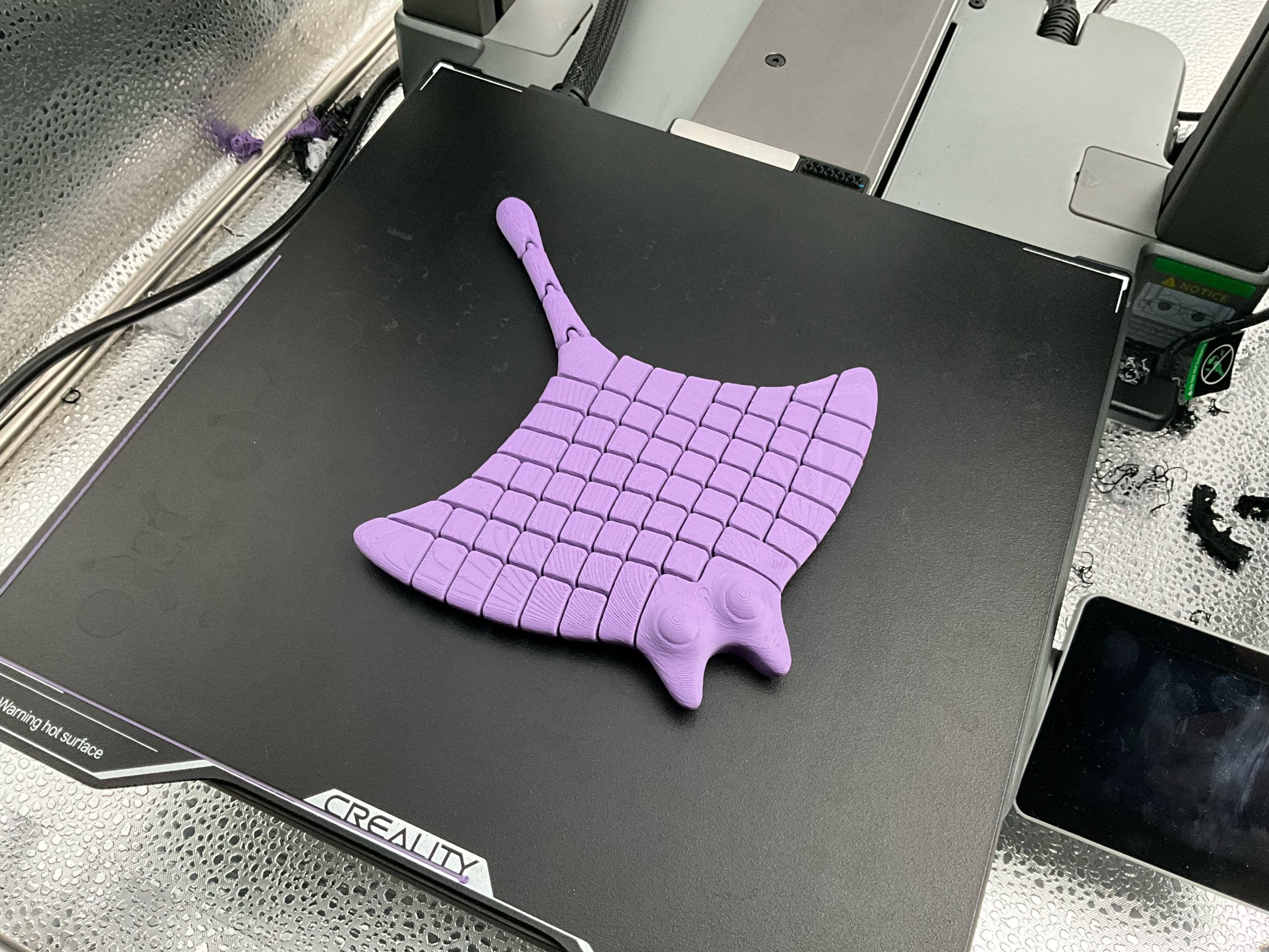 It came Awesome!! | Creality Cloud