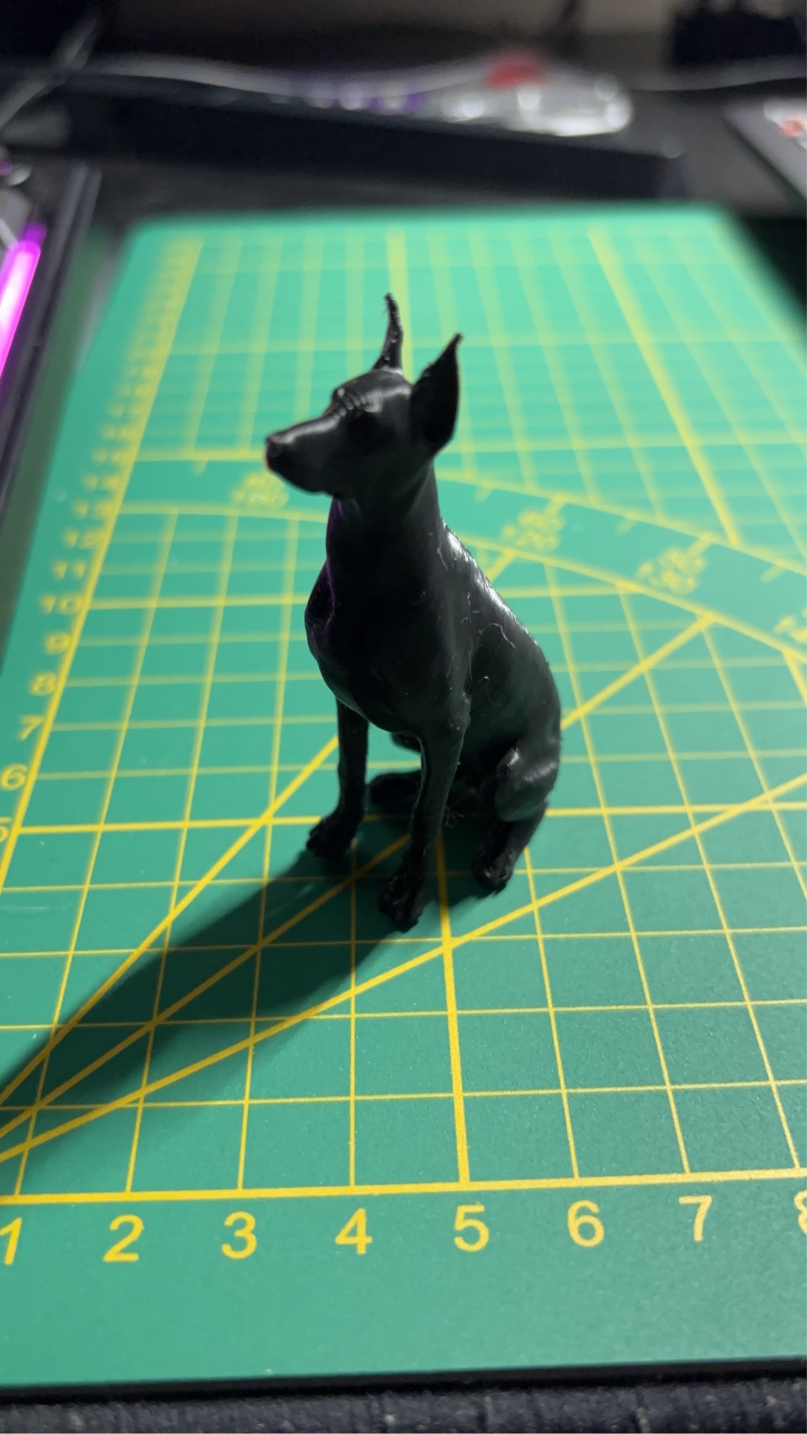 A very detailed model of a Dobermann keeping watch with a selfconfident ...
