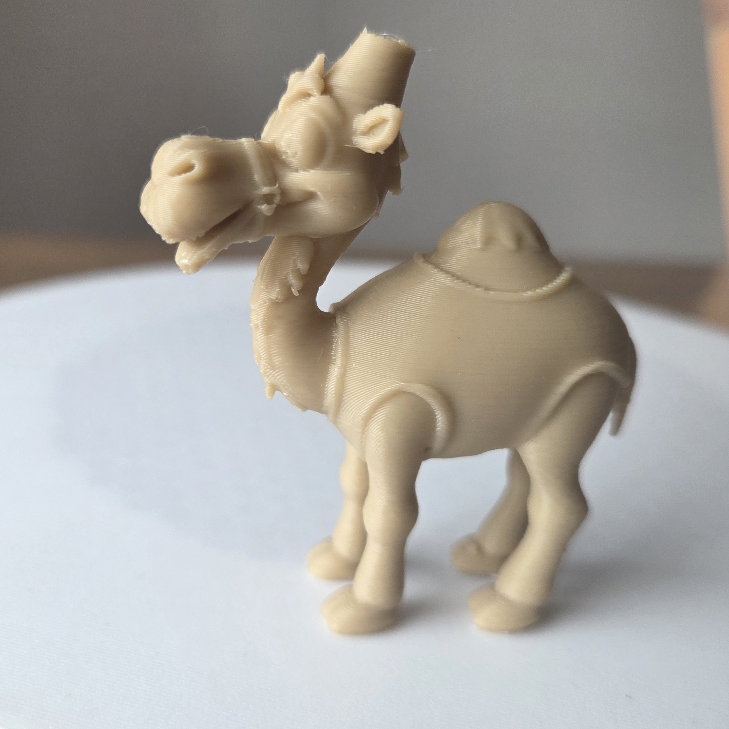 Here’s how my print of this cartoon camel turned out – really happy ...