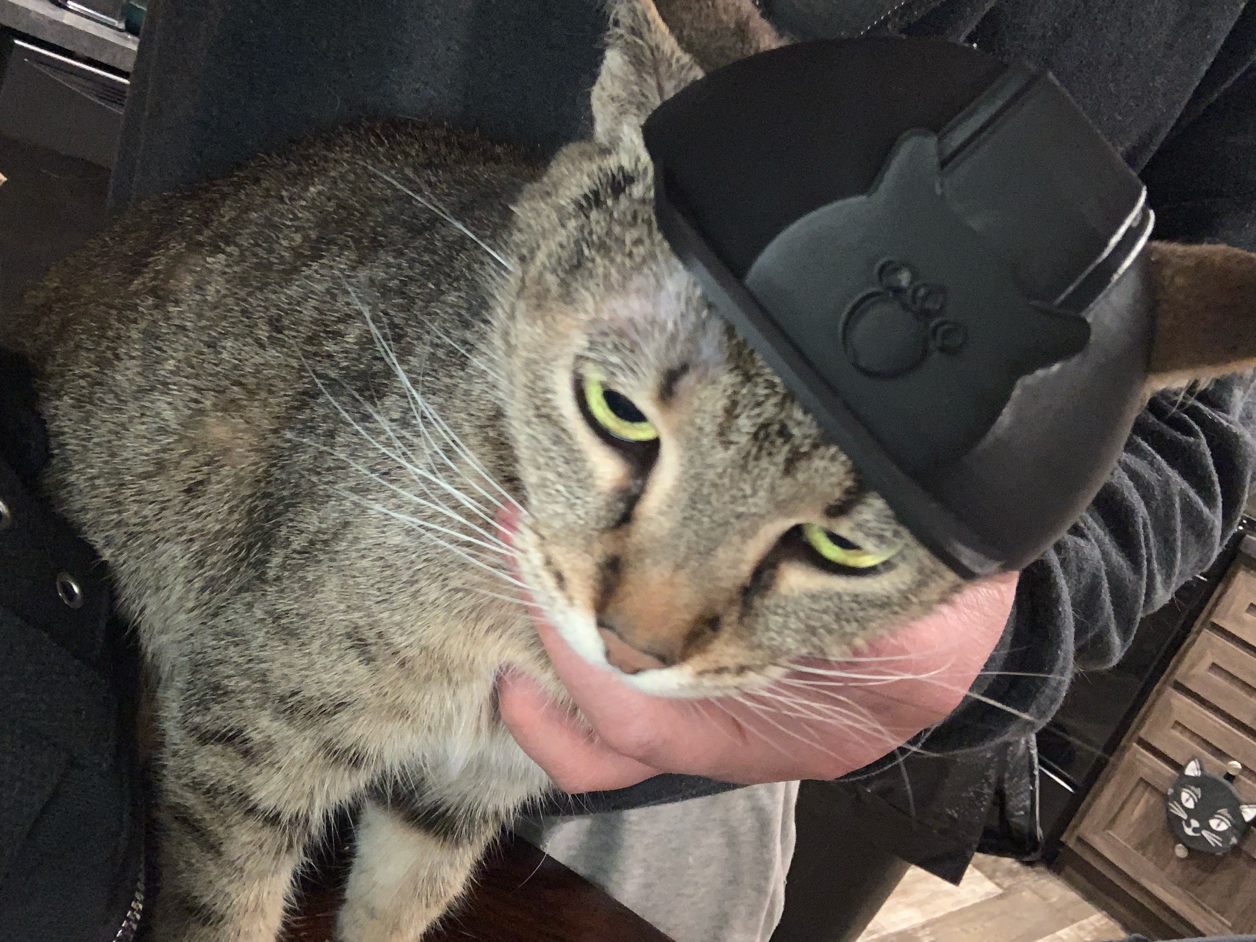 I need to resize mine a little bit but the quality was amazing ...