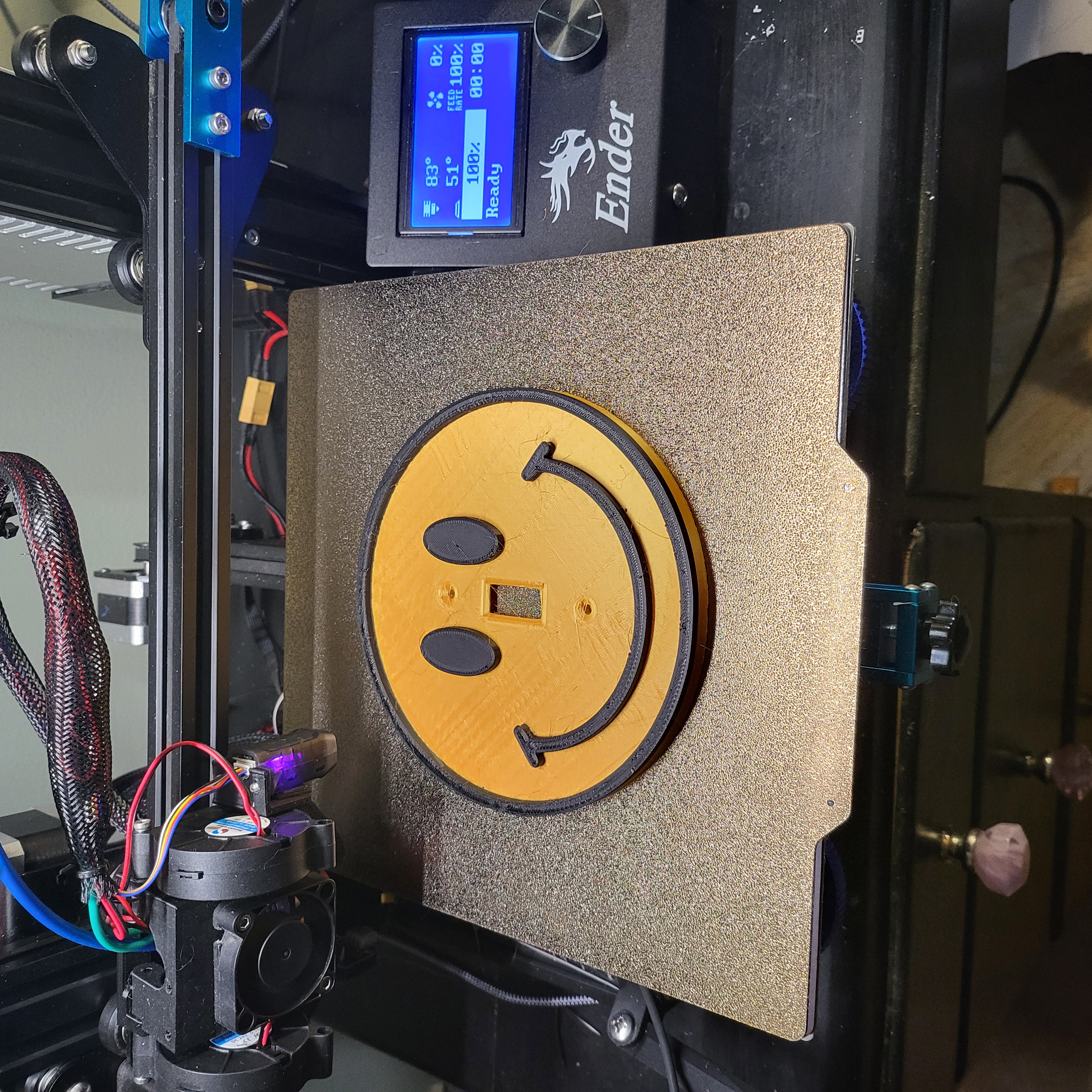 Smiley Light Switch Cover. Fun mutil color print. Pause at a specific ...