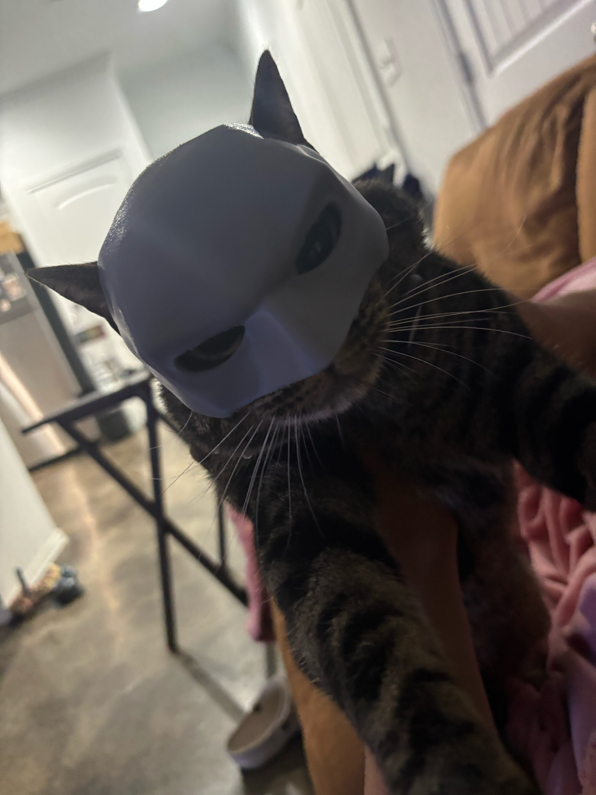 This was such a cute print and it only took an hour ! My cat has a smol ...