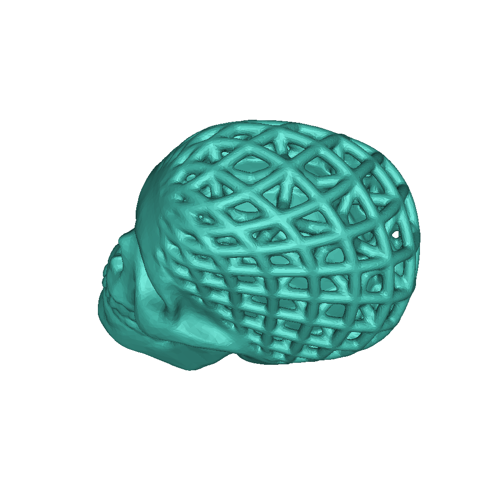 architected skull fcc design | 3D models download | Creality Cloud