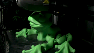 This is such a great frog! Highly recommend getting this one! | Creality Cloud