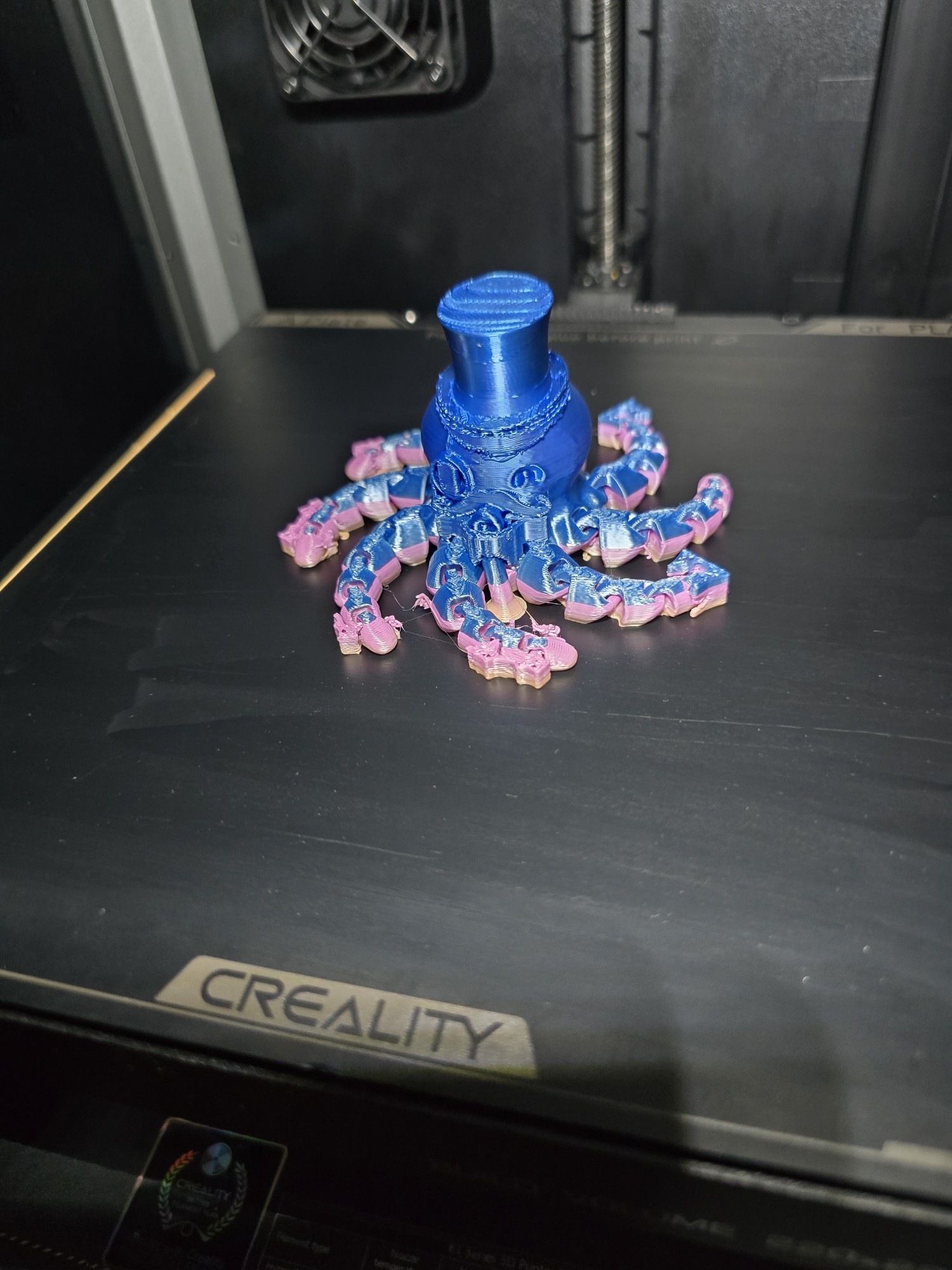 this is one dapper octopus! | Creality Cloud