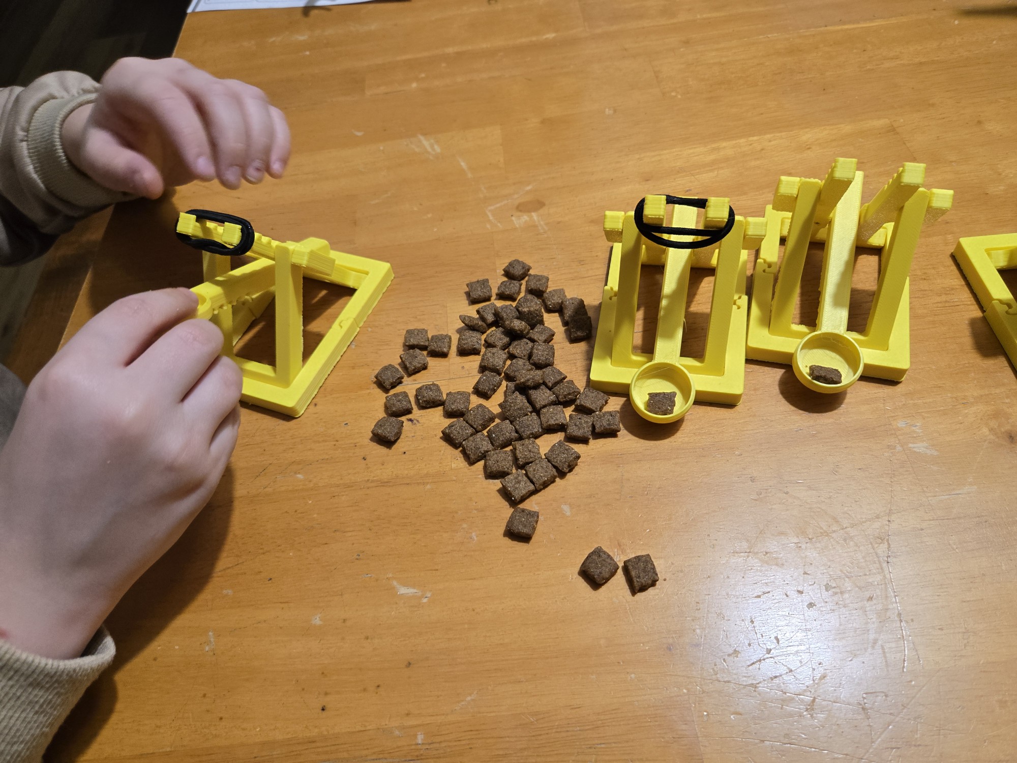 These are fun little catapults!! thanks for design. We were fling dog ...