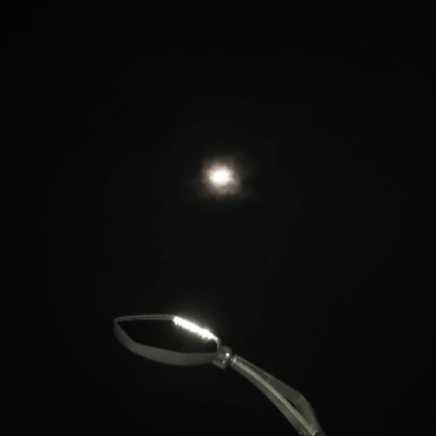 mini glass | 3D models download | Creality Cloud